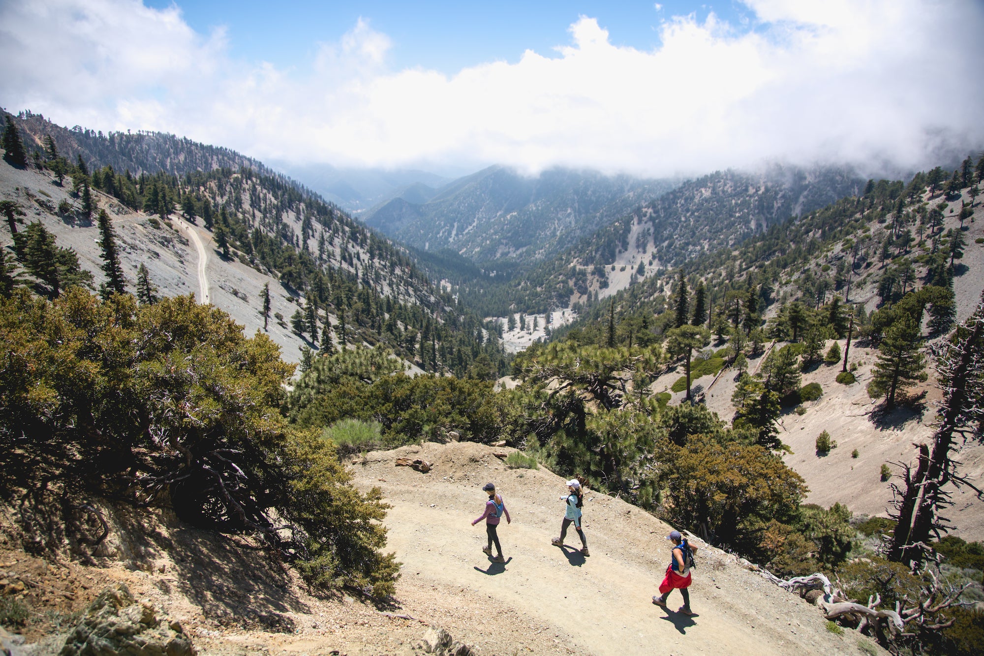 Scenic Chairlift Rides | The Lifts @ Mt Baldy